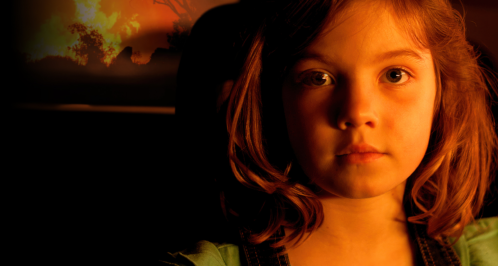 Do your Bushfire Plan Now | TFS Education